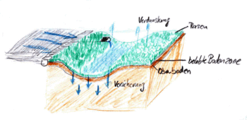 Infos Regenwasserbewirtschaftung, Versickerung, Regenwassernutzung